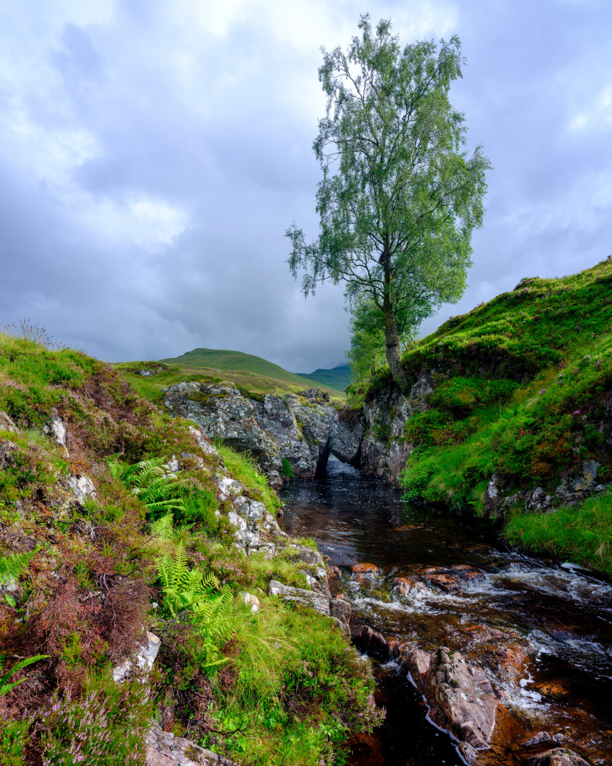 Tay Catchment Salmon Alliance – Tay Fishing